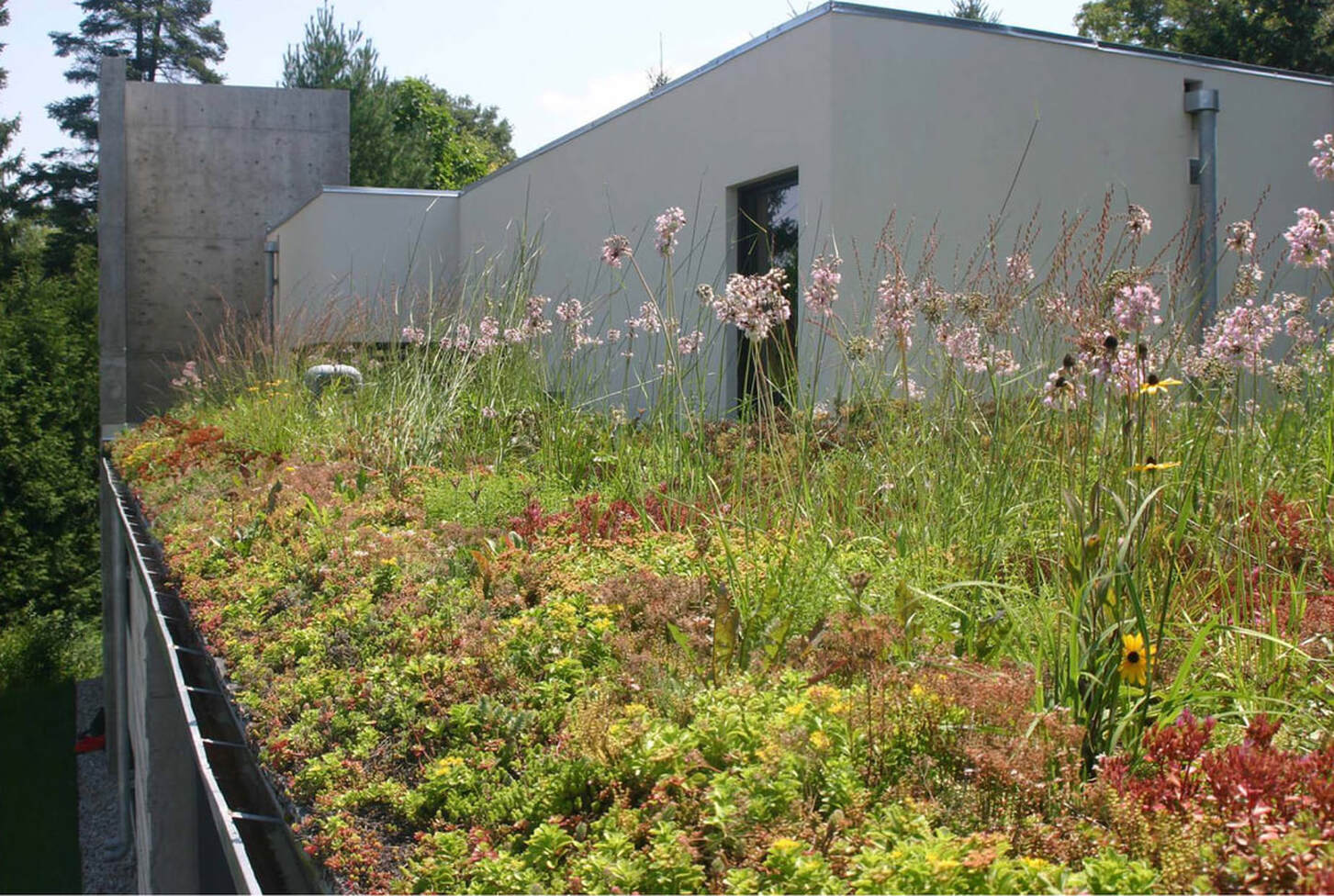 Green Roofs | Services - Ecological Garden Design - Natvik Design Inc ...